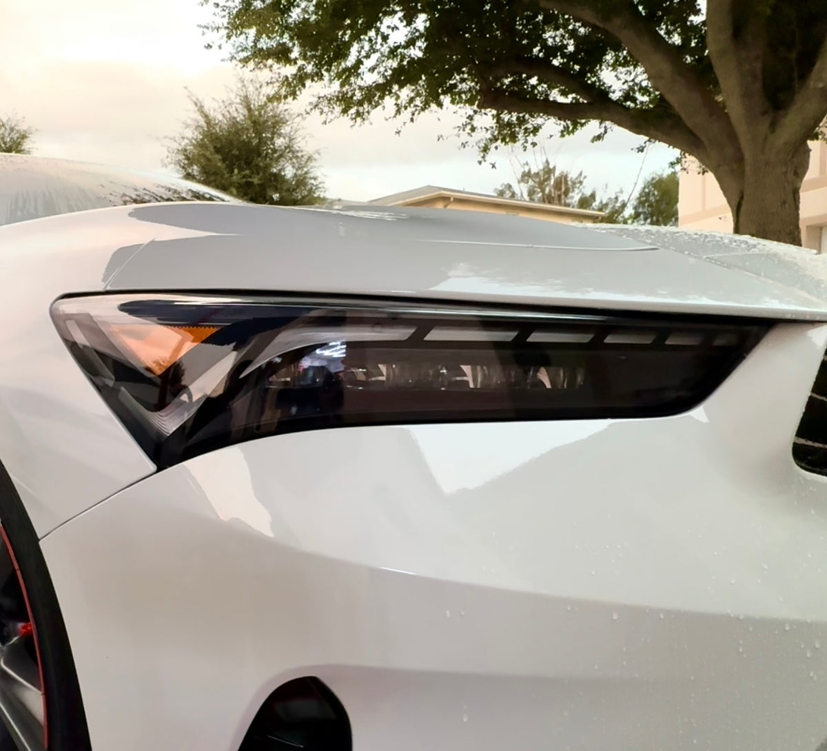 2022-2026 ACURA INTEGRA & INTEGRA S TYPE MATRIX DRL HEADLIGHT TINT (Co ...