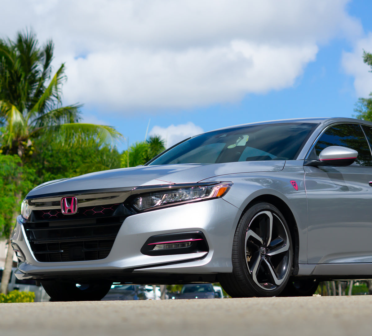 2018-2020 HONDA ACCORD AVERY MATTE PINK STARTER KIT NONE REFLECTIVE ...